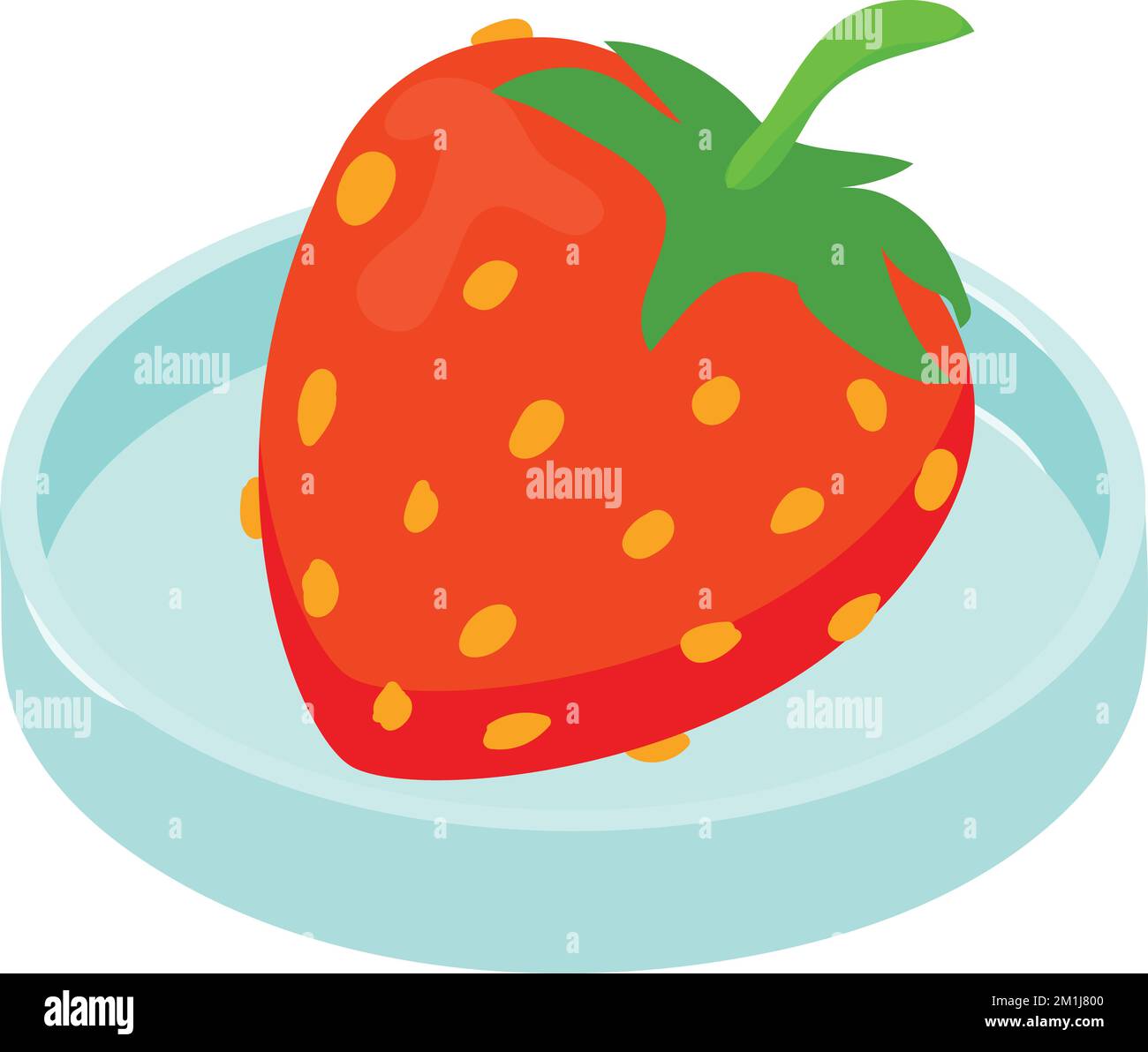 Fruit quality icon isometric vector. Fresh strawberry with essence on ...