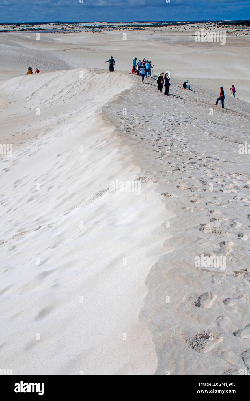 Sandboarding at Lancelin Stock Photo - Alamy