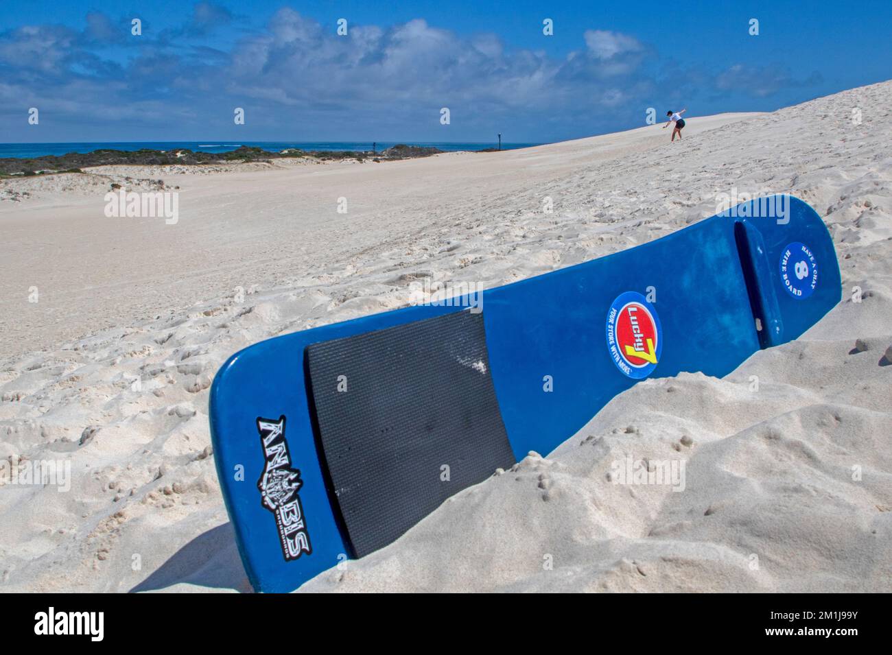 Sandboarding at Lancelin Stock Photo - Alamy