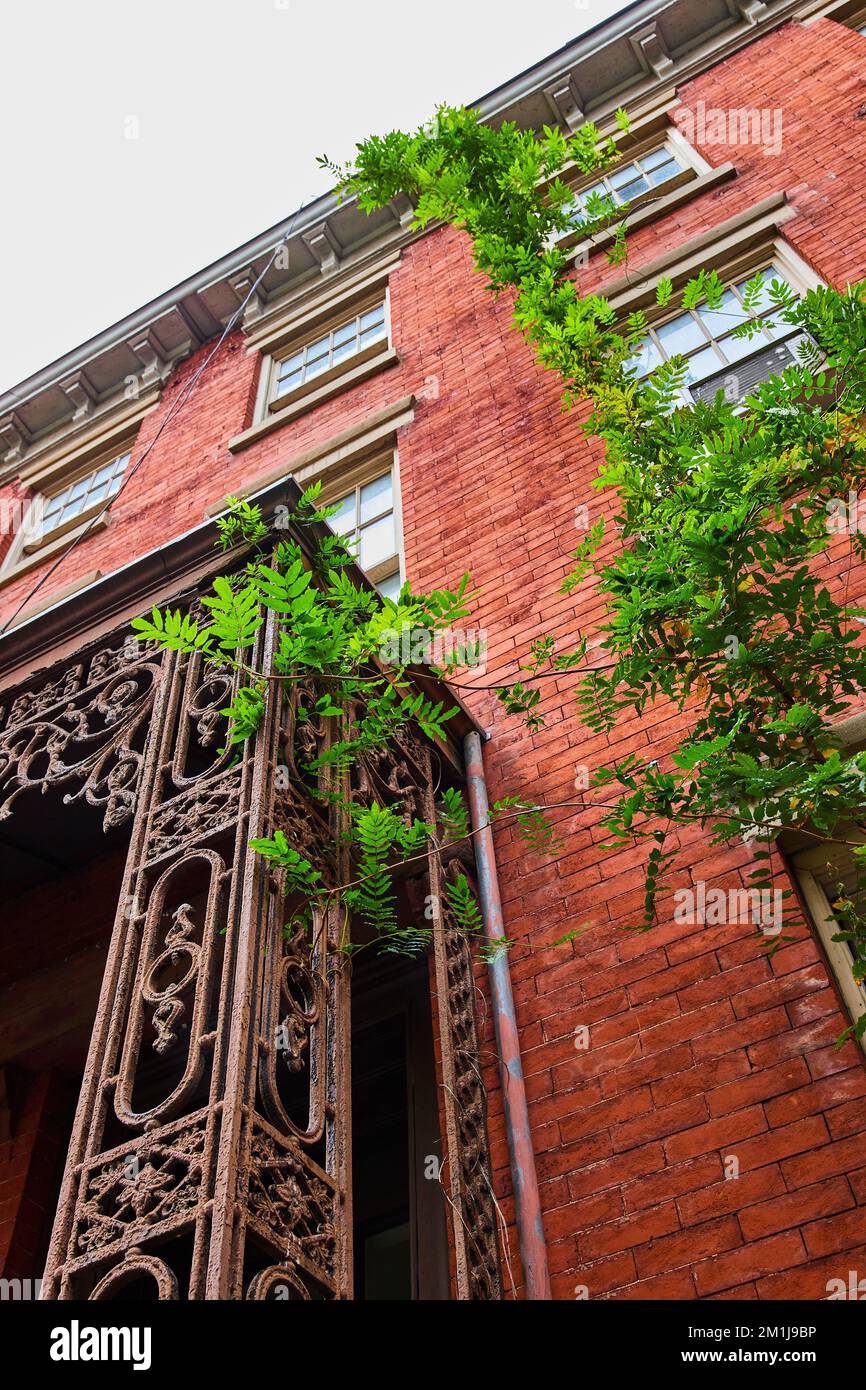 New york green roof hi-res stock photography and images - Alamy