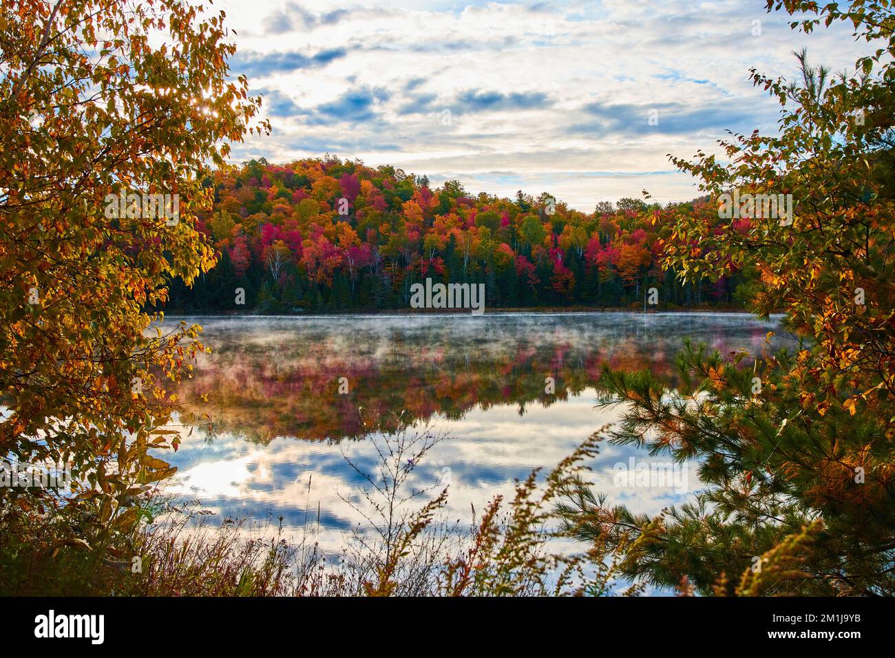 Fall forest surrounds lake with foggy surface Stock Photo - Alamy