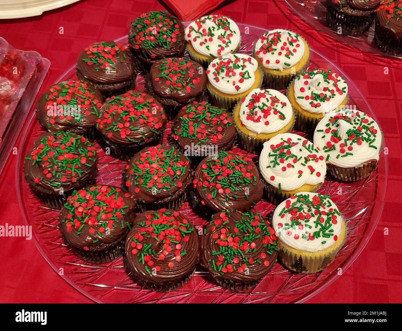 A tray of chocolate and vanilla cupcakes with red and green sprinkles ...
