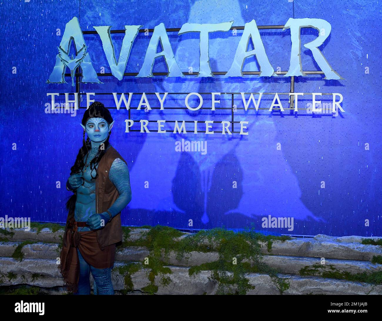 Hollywood, CA on December 12, 2022. Atmosphere at the U.S. premiere of ...