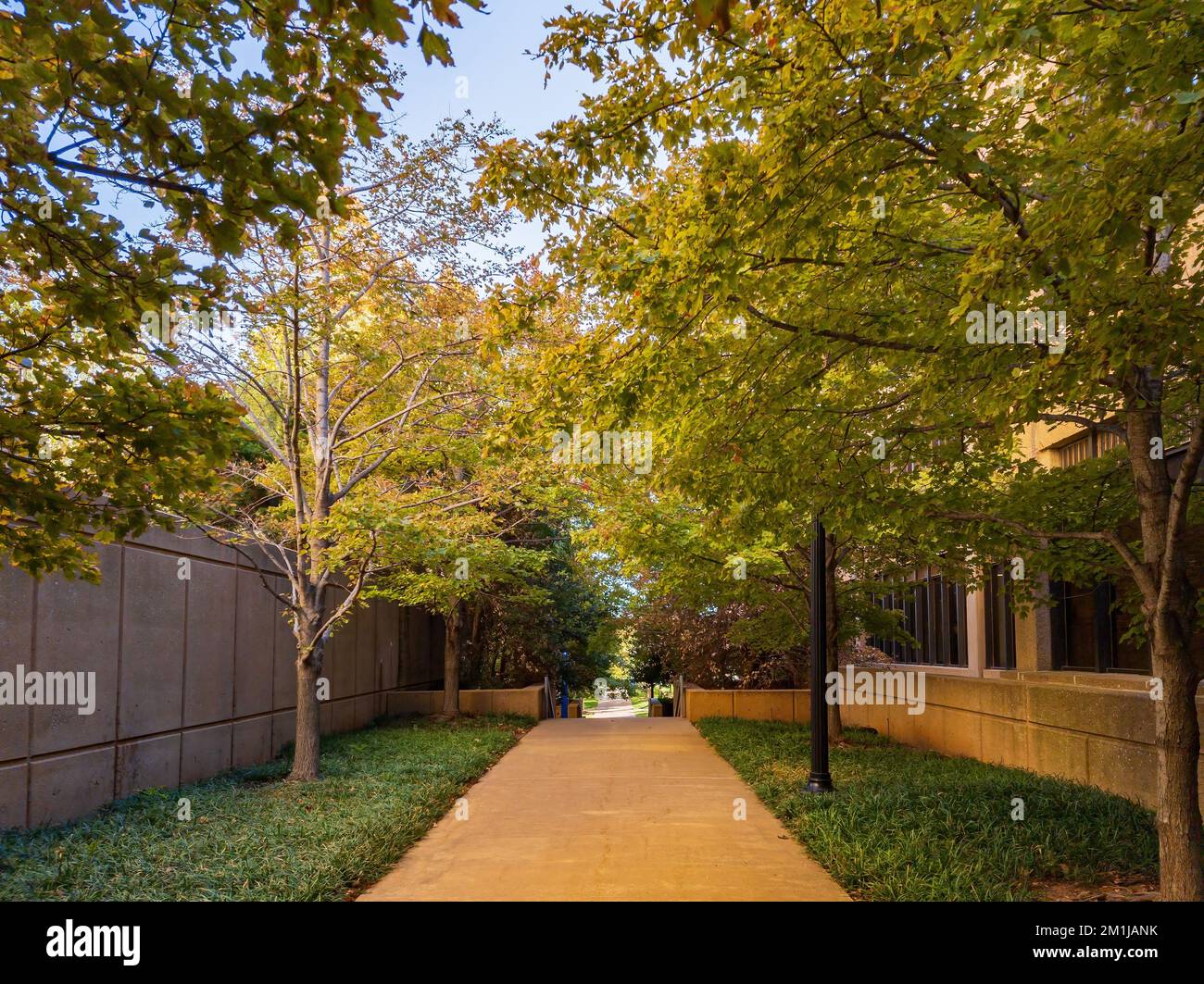 Sunny view of the fall color of OUHSC at Oklahoma Stock Photo - Alamy