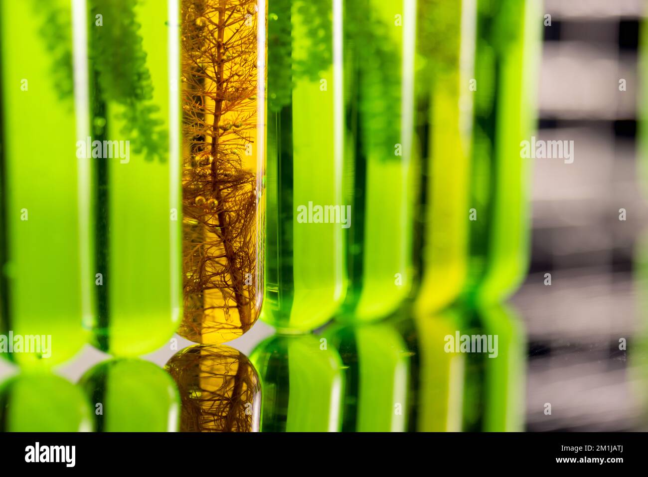 Sustainable aviation fuel plant hi-res stock photography and images - Alamy