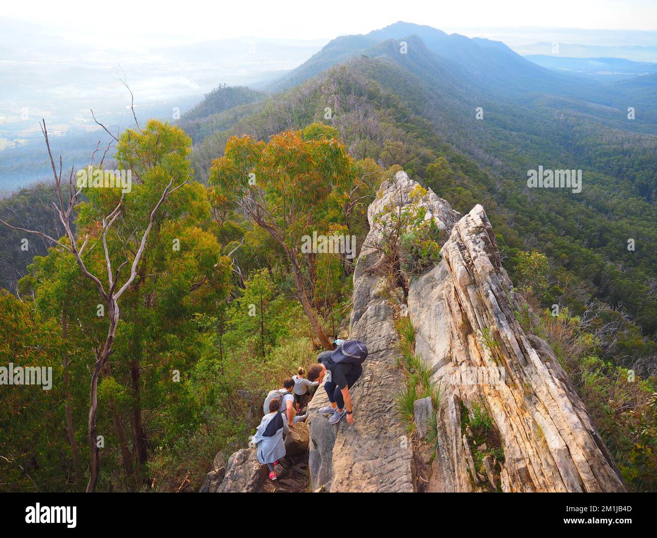 Razorback mountain hi-res stock photography and images - Alamy