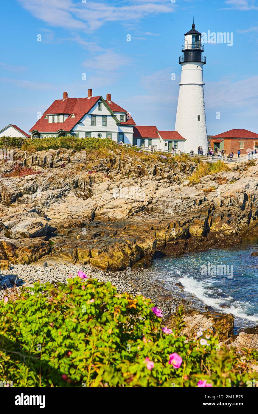 Detail of white lighthouse on rocky Maine coast with pink flowers in ...