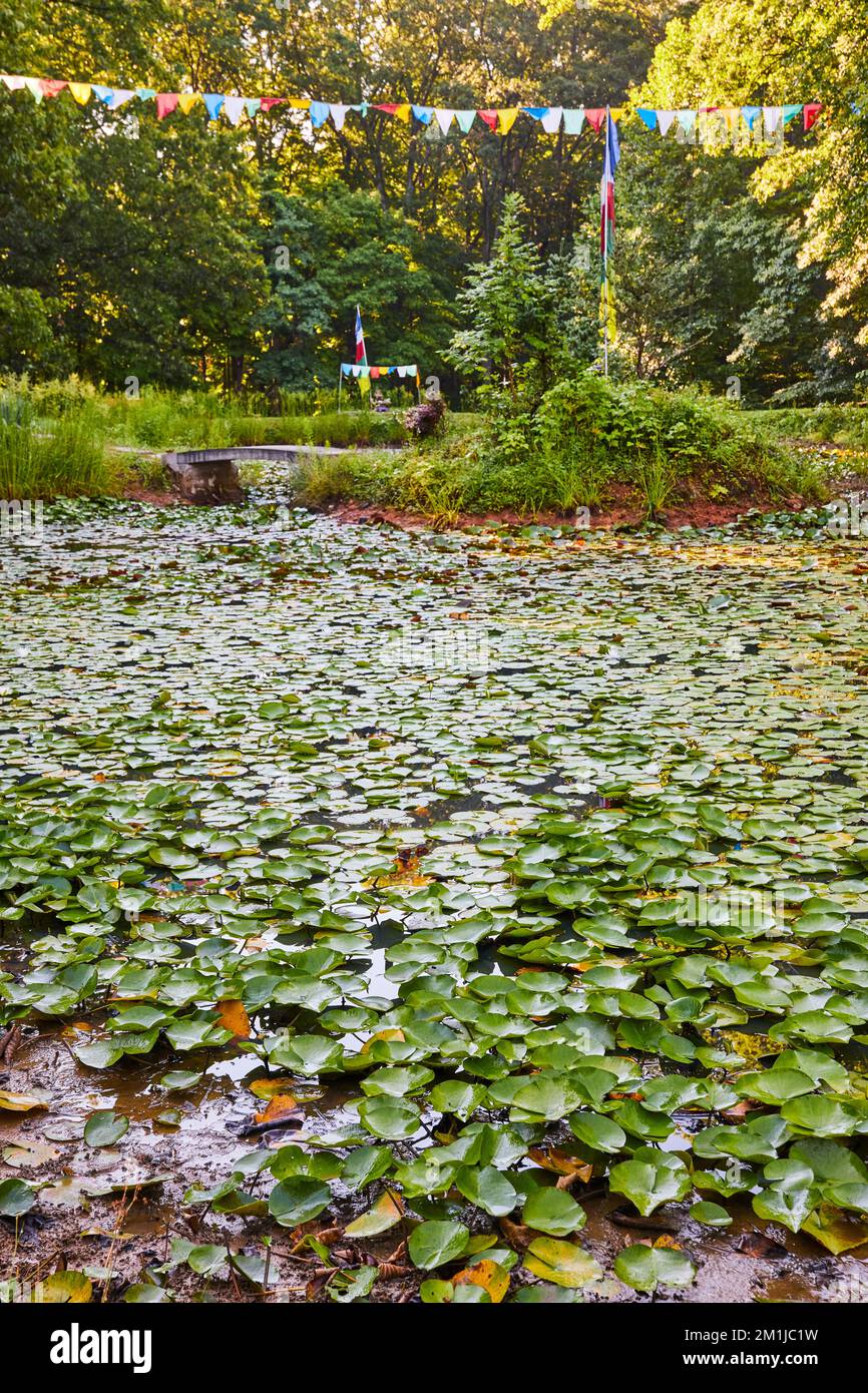 Lily pond with prayer flags and small island Stock Photo - Alamy