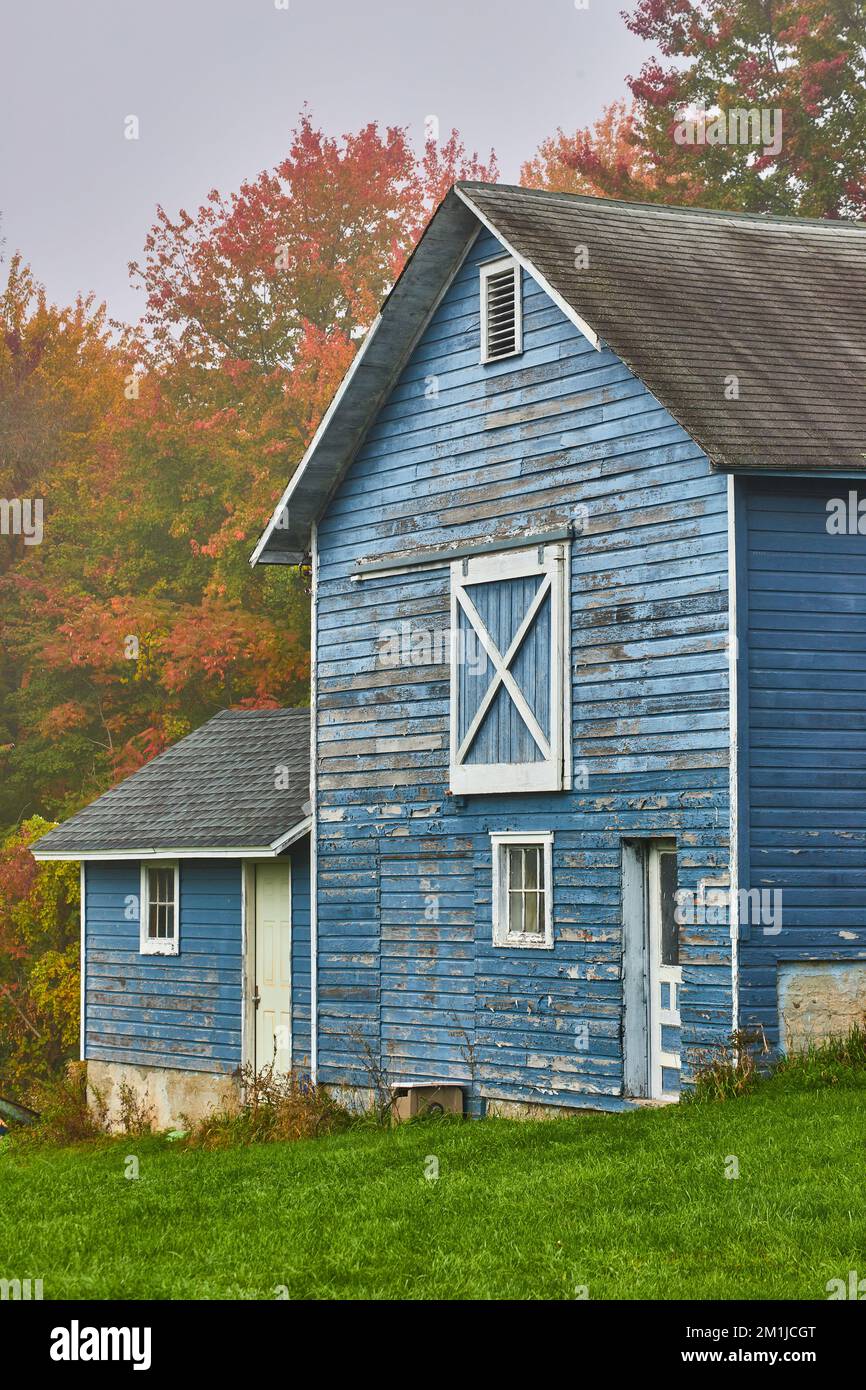 Blue fading peeling barn or shed detail against colorful fall forest ...