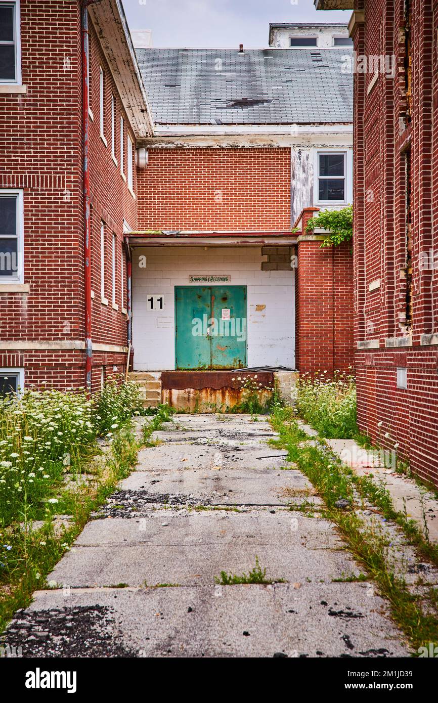 Cement path into abandoned brick buildings green backdoor entrance ...