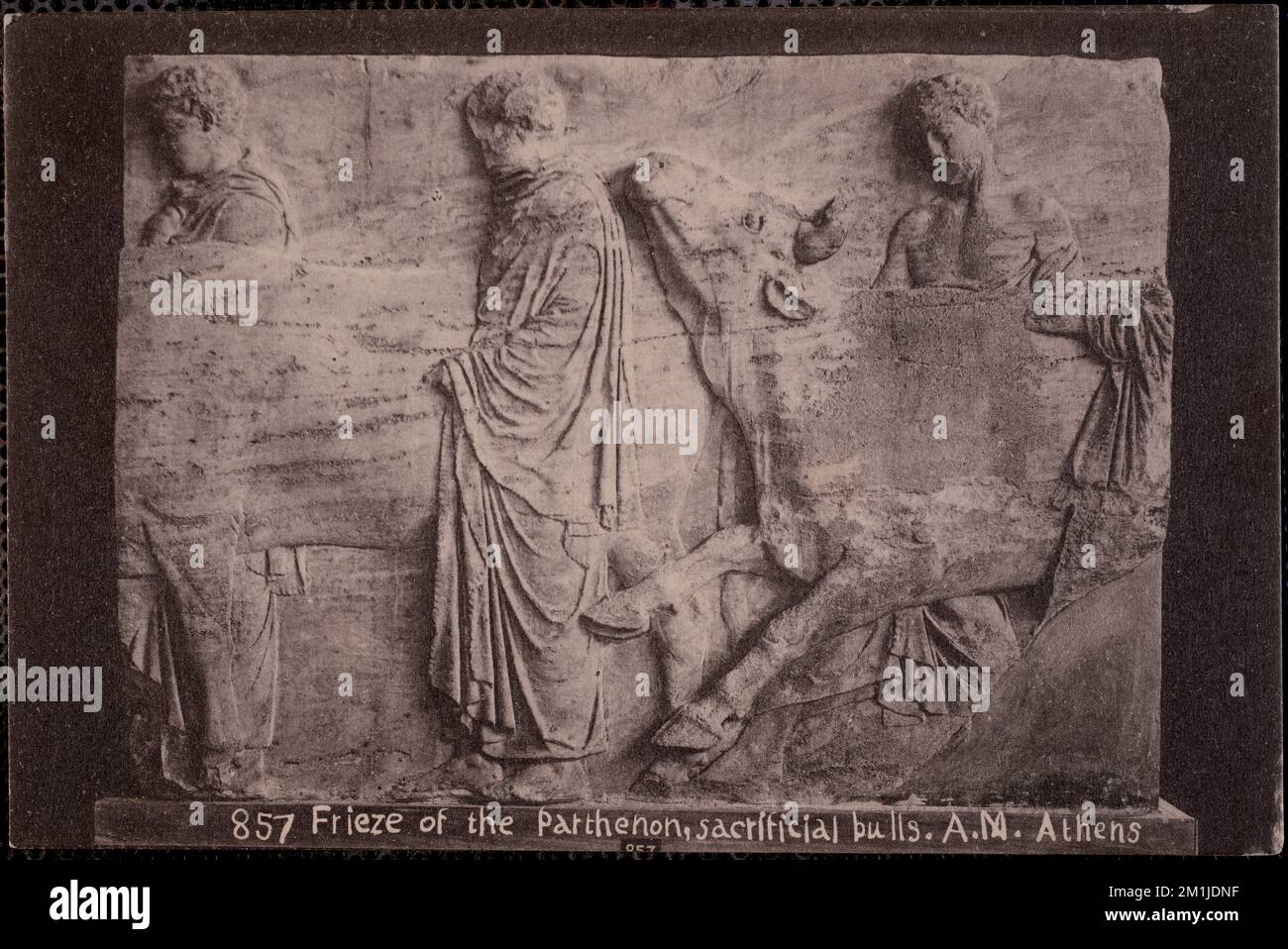 867, frieze of the Parthenon, sacrificial bulls. A. M. Athens , Friezes ...