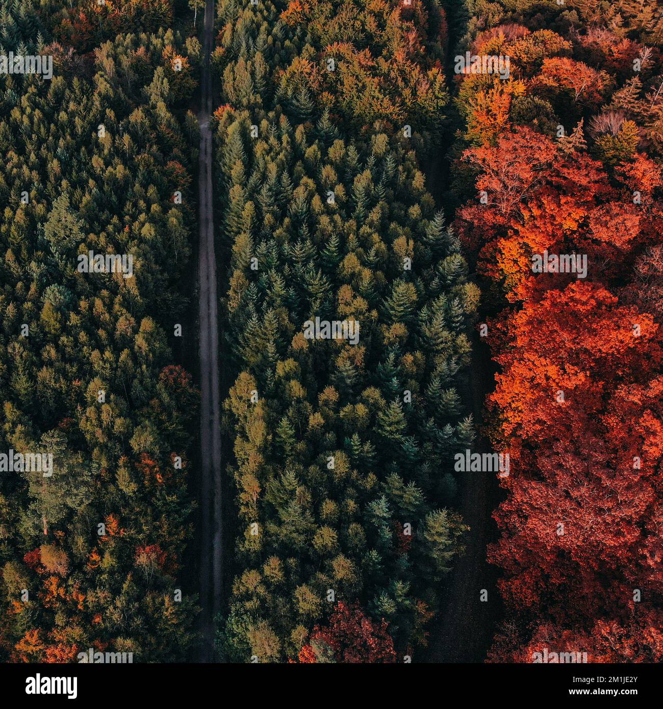 Land art fall leaf hi-res stock photography and images - Alamy