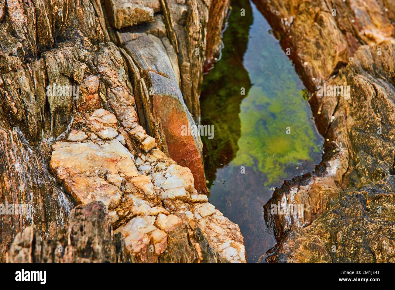 Mineral veins and layered rocks next to small tide pool in low tide ...