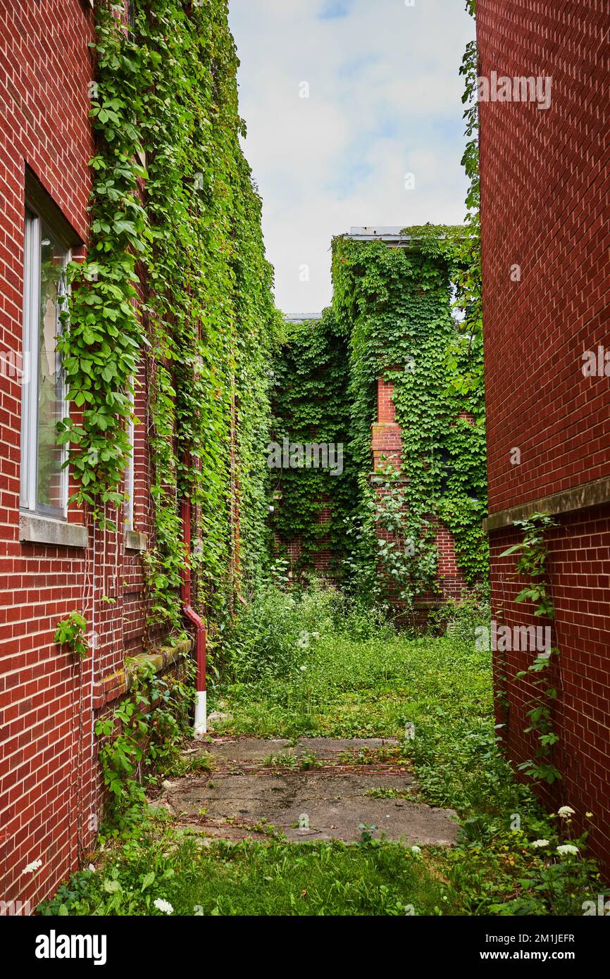 Alley stone wall vines hi-res stock photography and images - Alamy