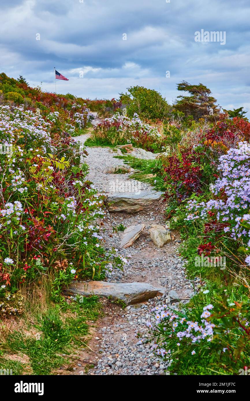 Narrow gravel walking path in Maine surrounded by flowers and with ...
