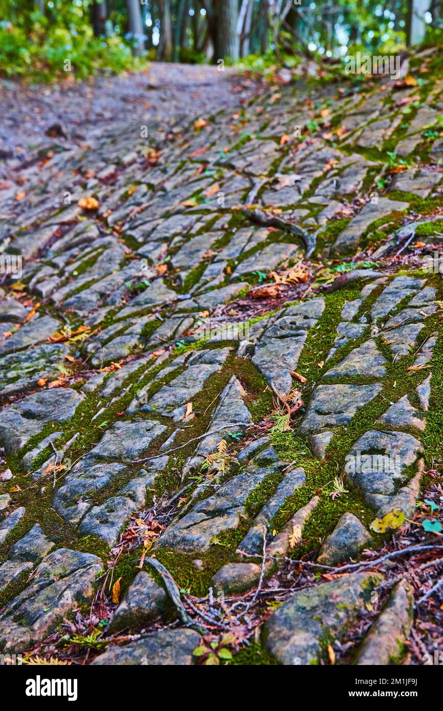 Diagonal cuts hi-res stock photography and images - Alamy