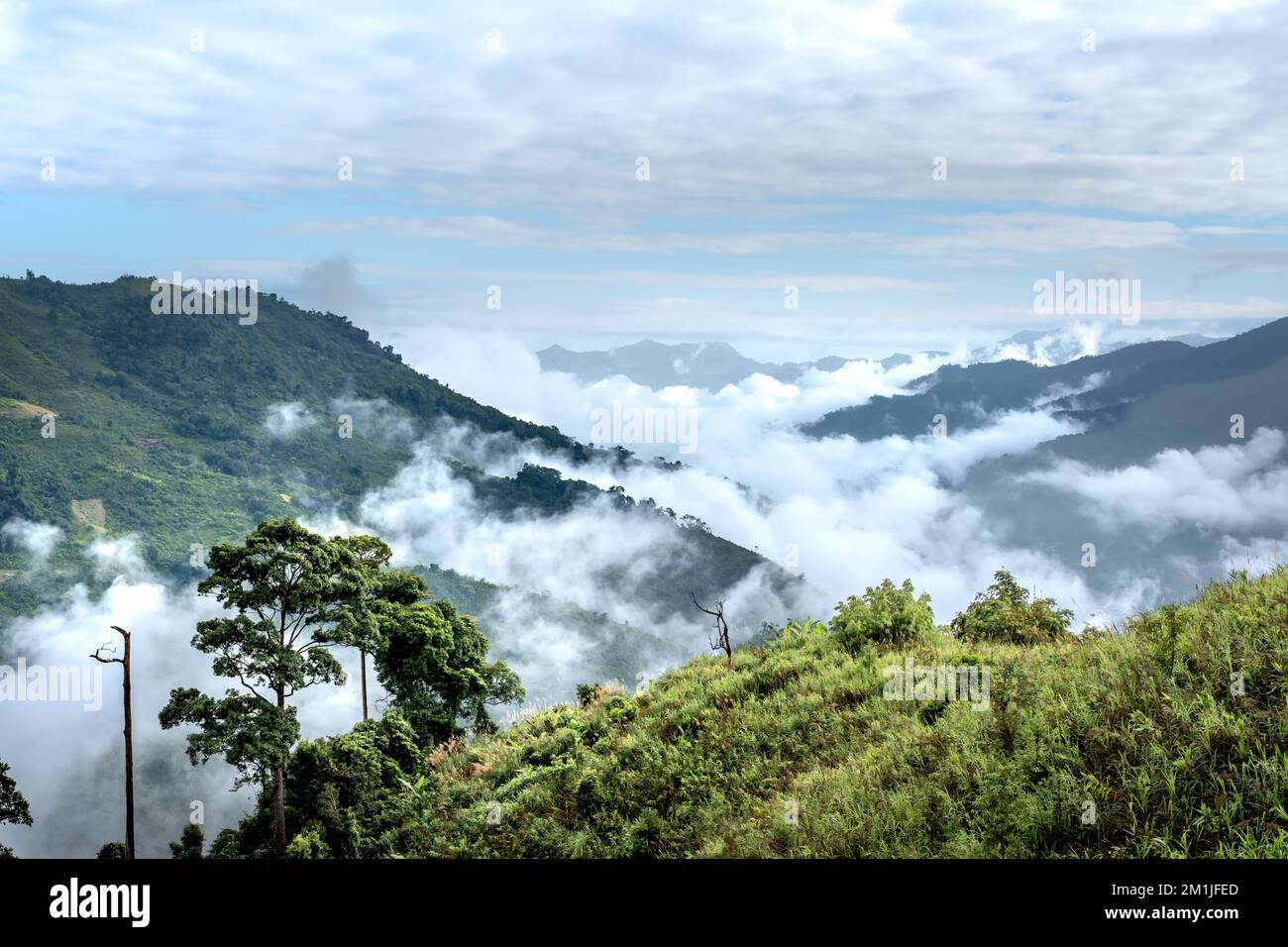 Clouds fly over dense mountain forests and across streams in the North ...