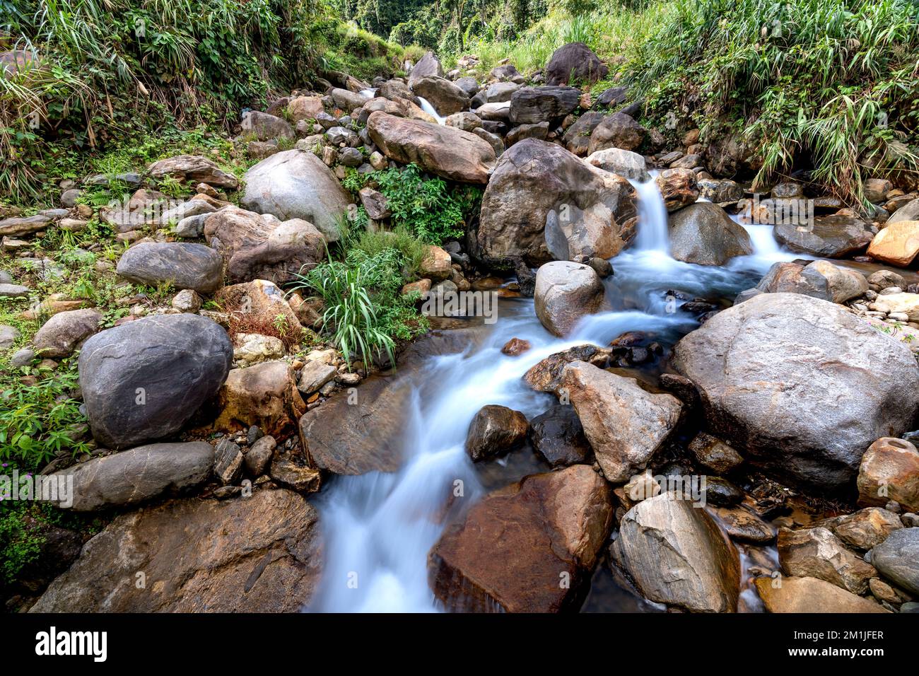 Stream flowing through rock crevices in the rainforest Stock Photo - Alamy