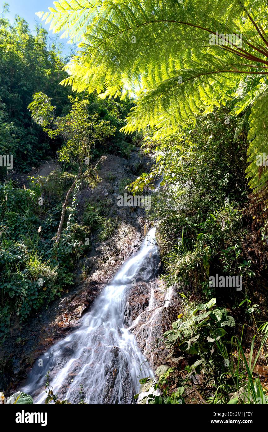 Rock crevices hi-res stock photography and images - Alamy