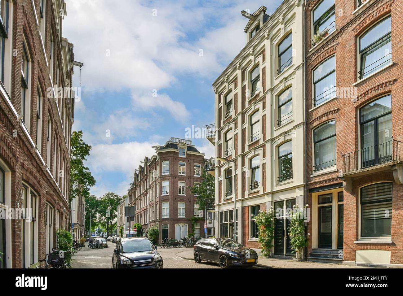 View of street near building with beauty of vegetation outside Stock ...