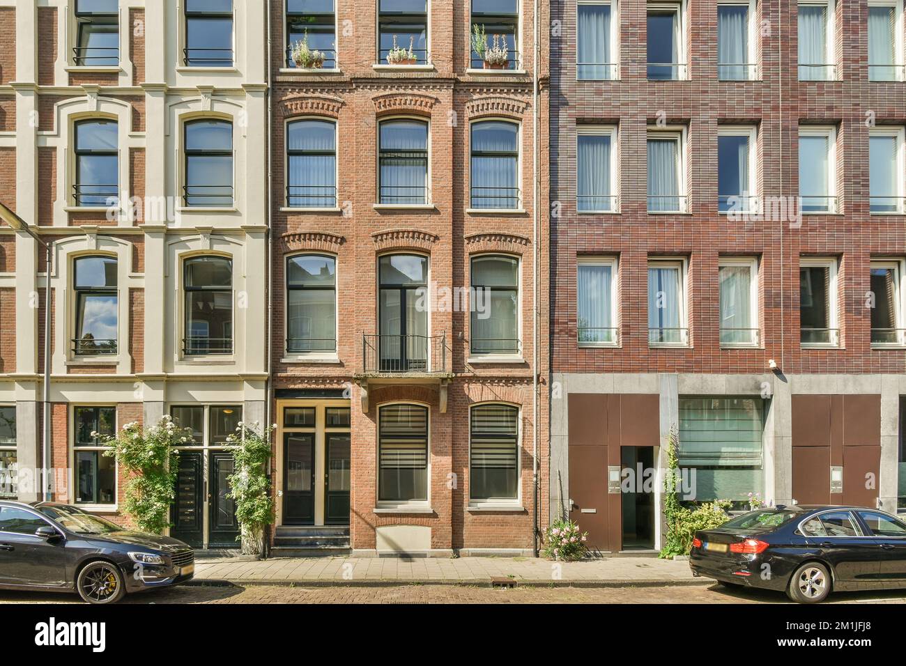 View of street near building with beauty of vegetation outside Stock ...