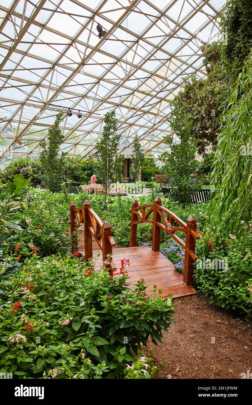Peaceful walking bridge on path in botanical gardens with glass roof ...