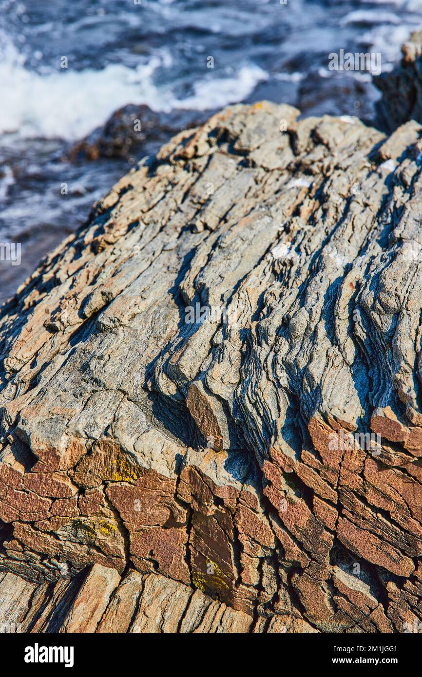 Detail of rocks that look like petrified wood on ocean coast in Maine ...