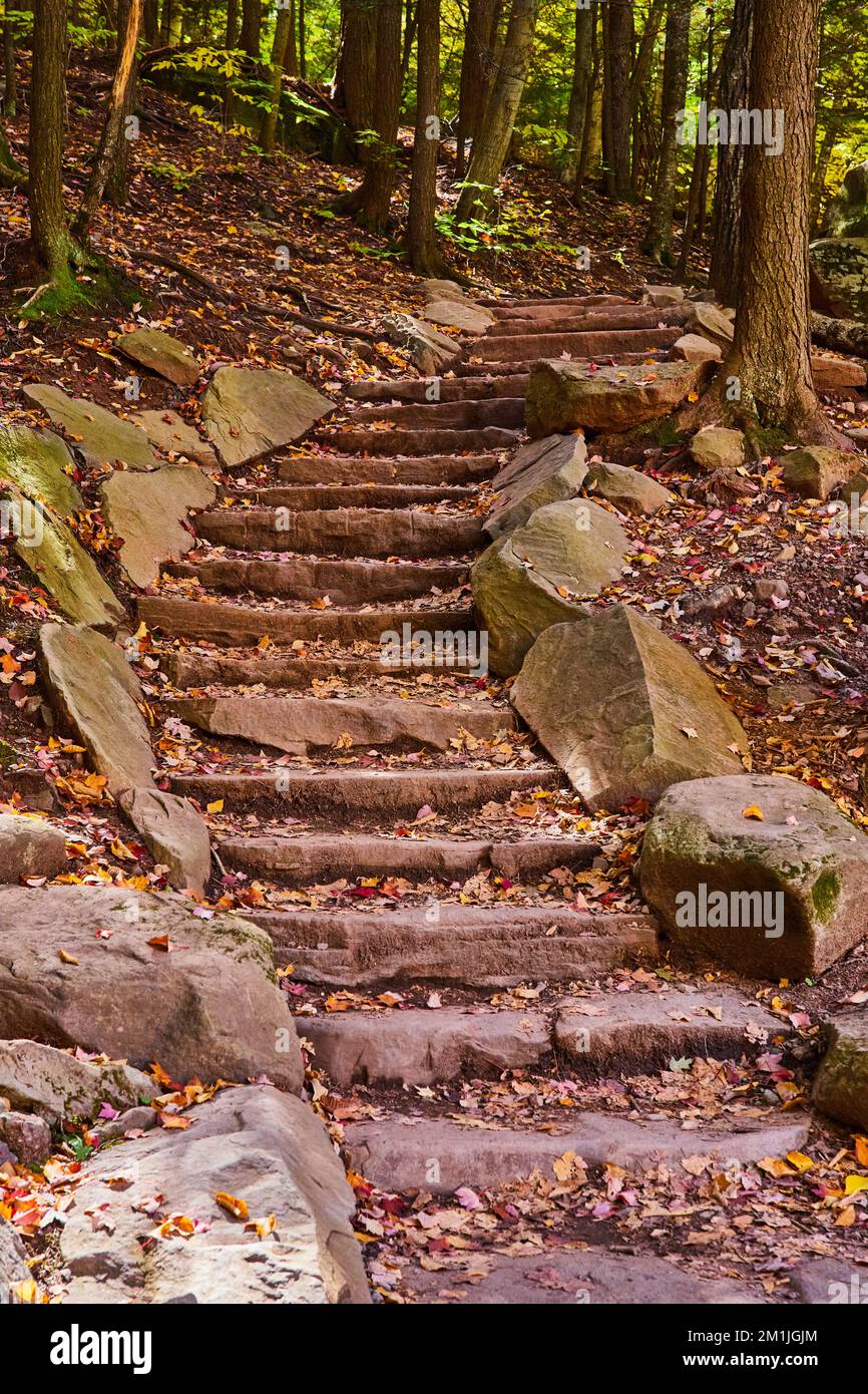 Fall forest hiking trail staircase lined with stone rocks winding up ...