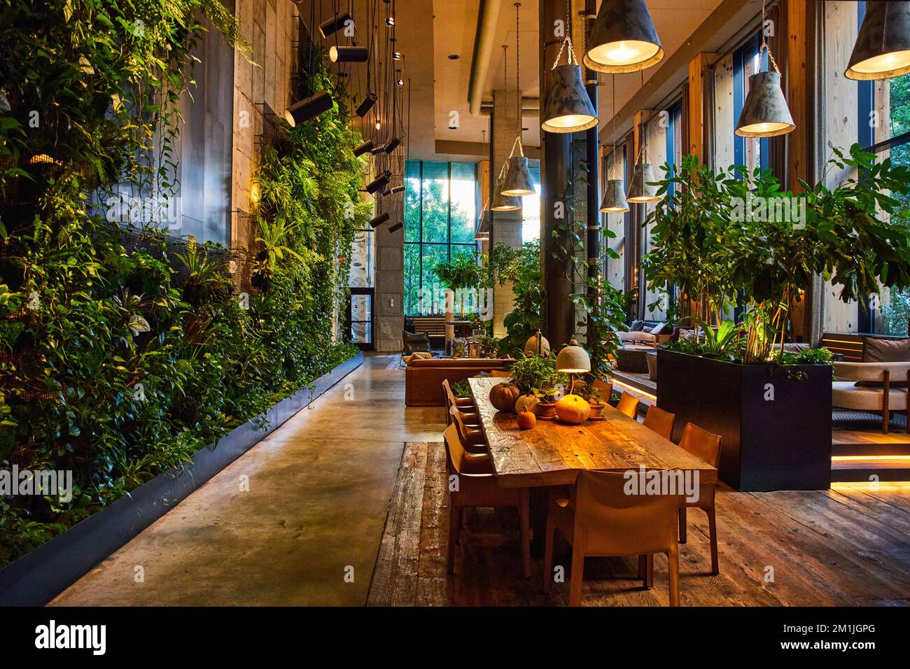 Interior fancy hotel lobby tables with vine covered walls in New York ...