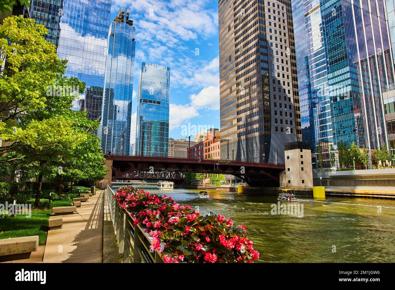 Stunning Chicago ship canal with flower beds and reflective skyscrapers ...