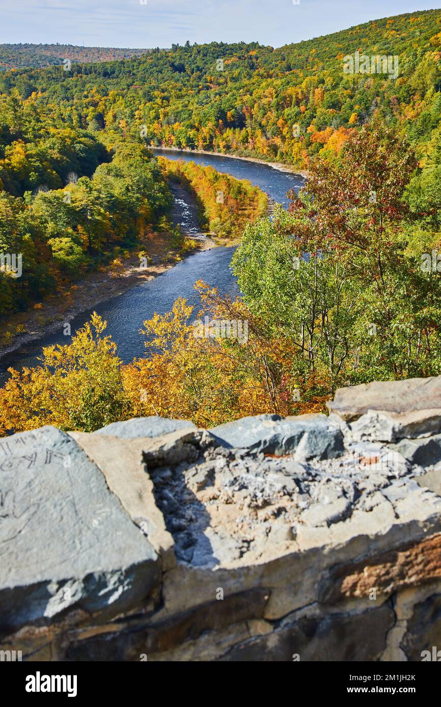 Forest scene damaged trees hi-res stock photography and images - Alamy