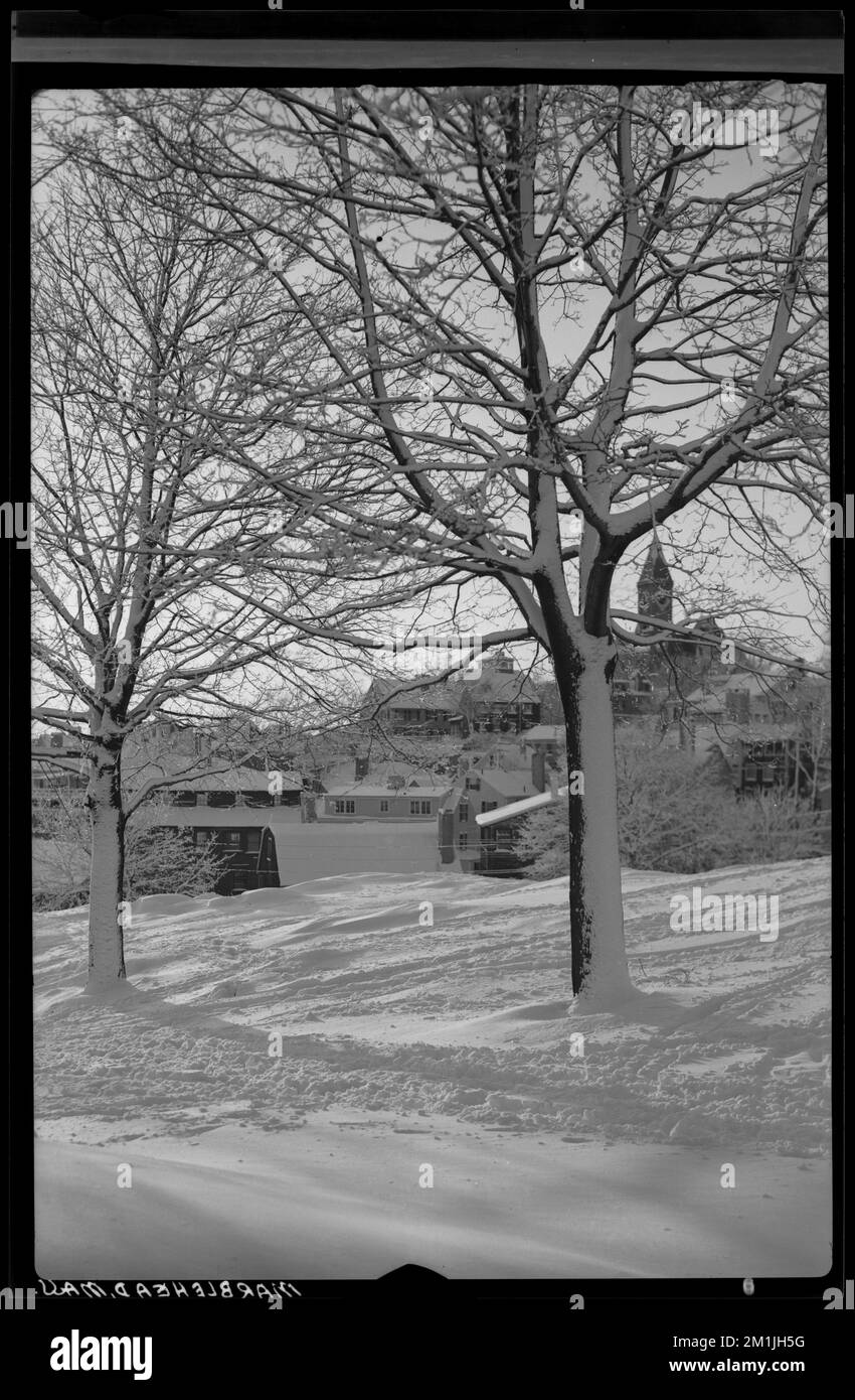 Abbot Hall Vista in Winter , Cities & towns, Trees. Samuel Chamberlain ...