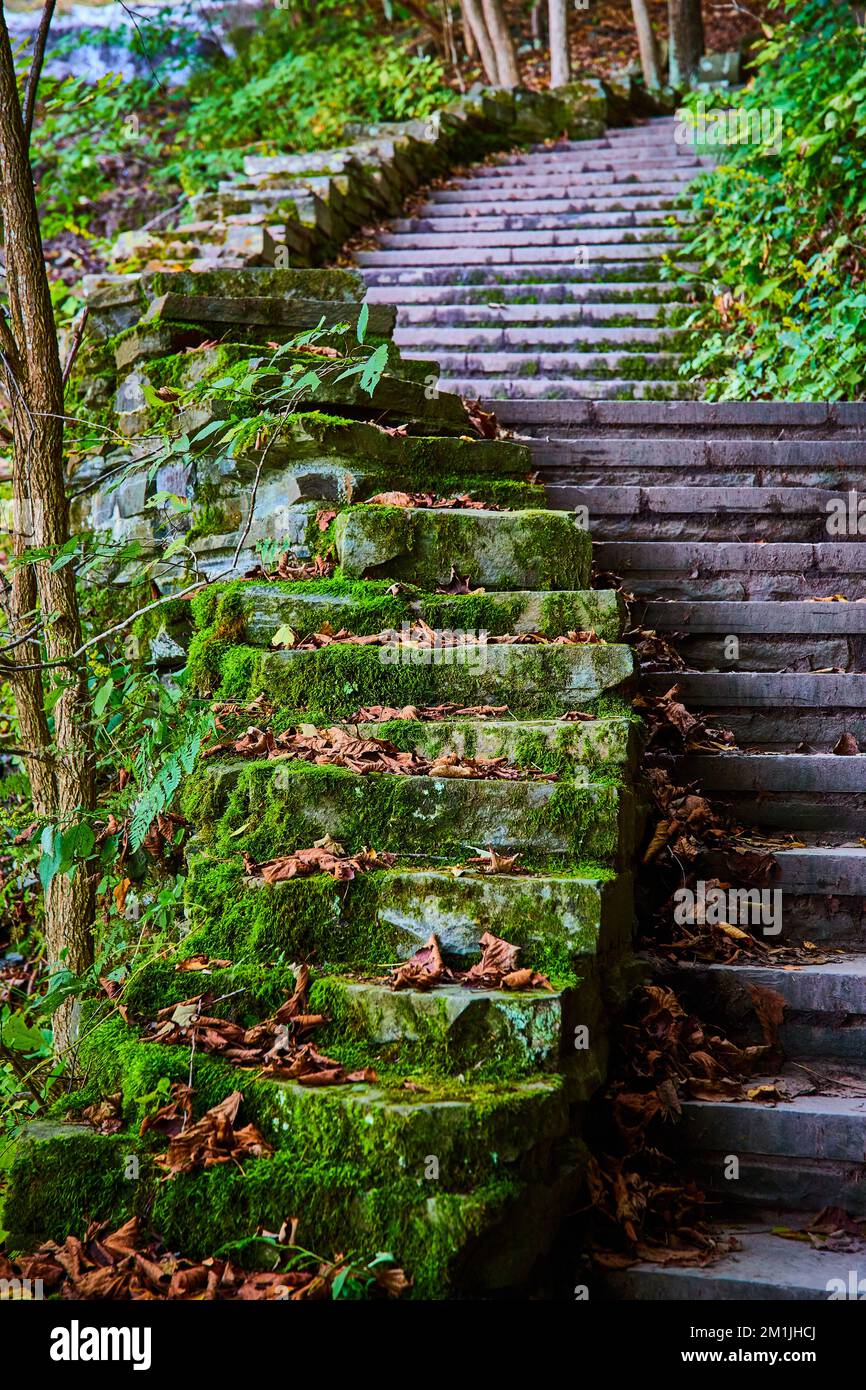 Detail of endless stairs with mossy edge and fall leaves Stock Photo ...