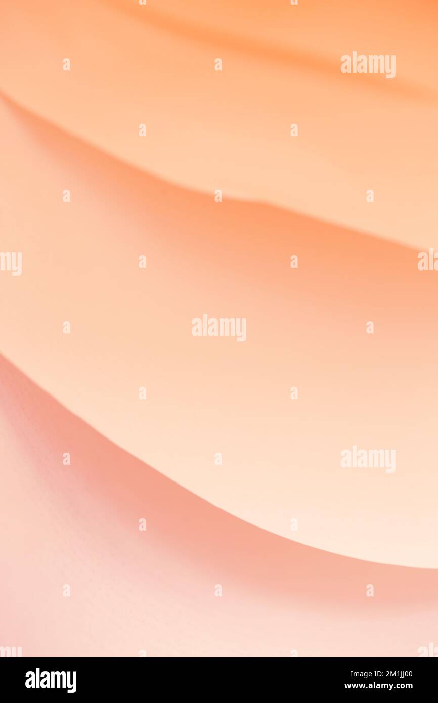 Paper texture in pink colors.Wallpaper abstract with pink color ...