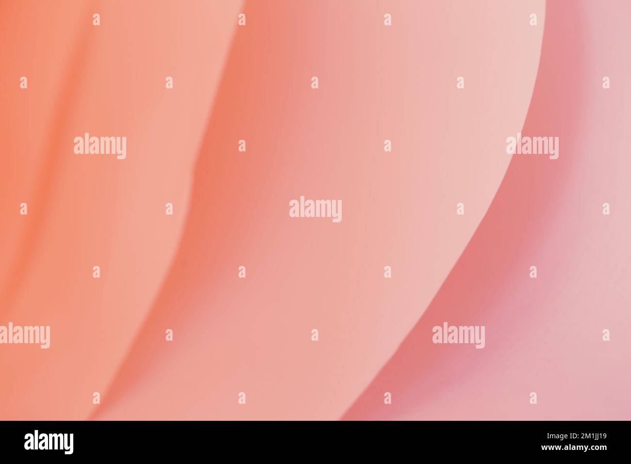 Wallpaper with pink color gradient.Pink layers abstract background ...
