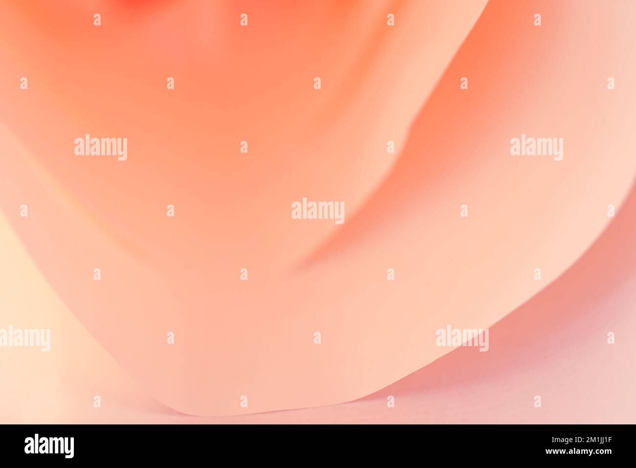 Wallpaper abstract with pink color gradient.Pink layers abstract ...