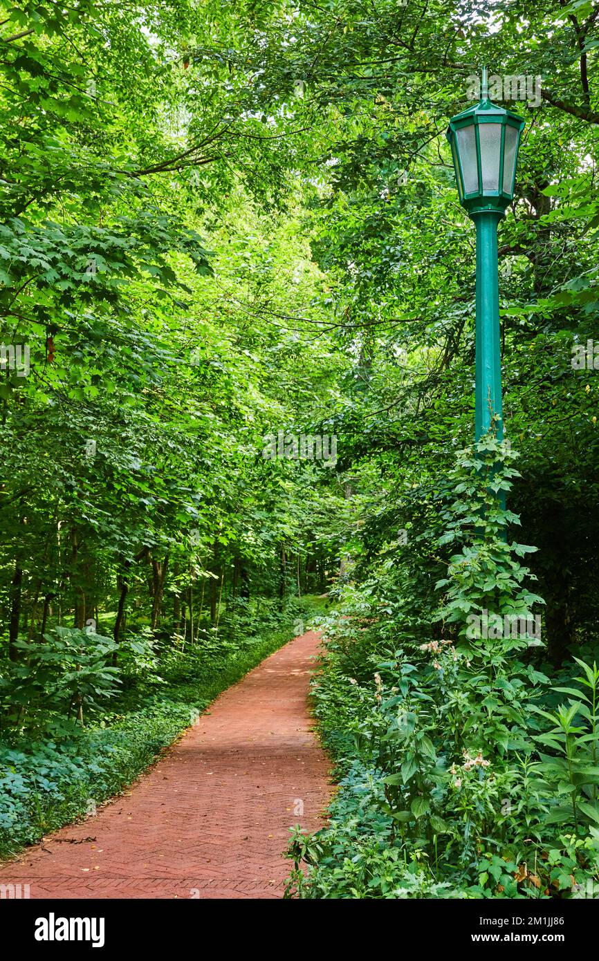 Green lamp post and brick path through a lush green forest in college ...