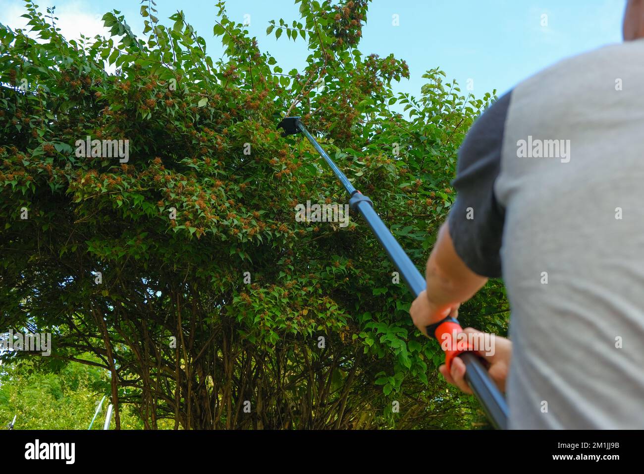 Pruning Tool. Garden telescopic pruner for pruning branches.Telescopic ...