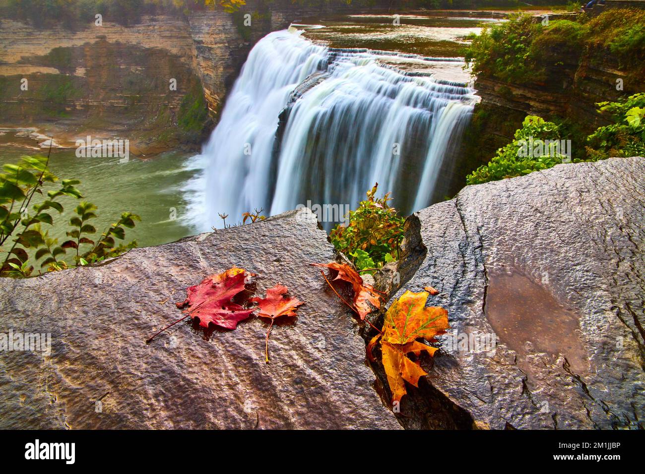 Fall leaves on wet rocks with huge waterfall behind pouring over cliffs ...