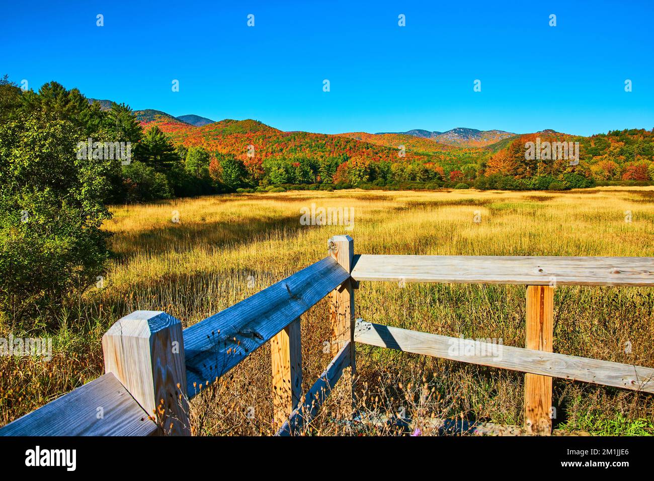 Wood fence next to large yellow fields with colorful fall mountains in ...