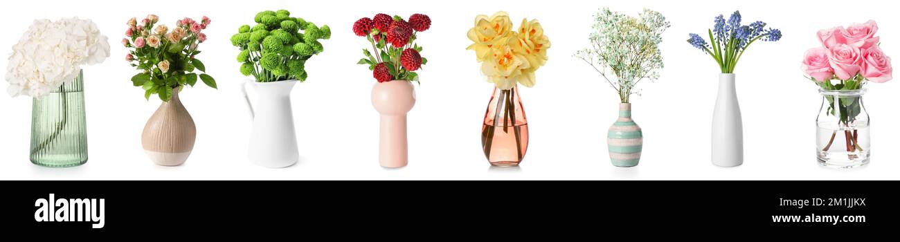 Collage of aromatic fresh flowers in stylish vases on white background ...