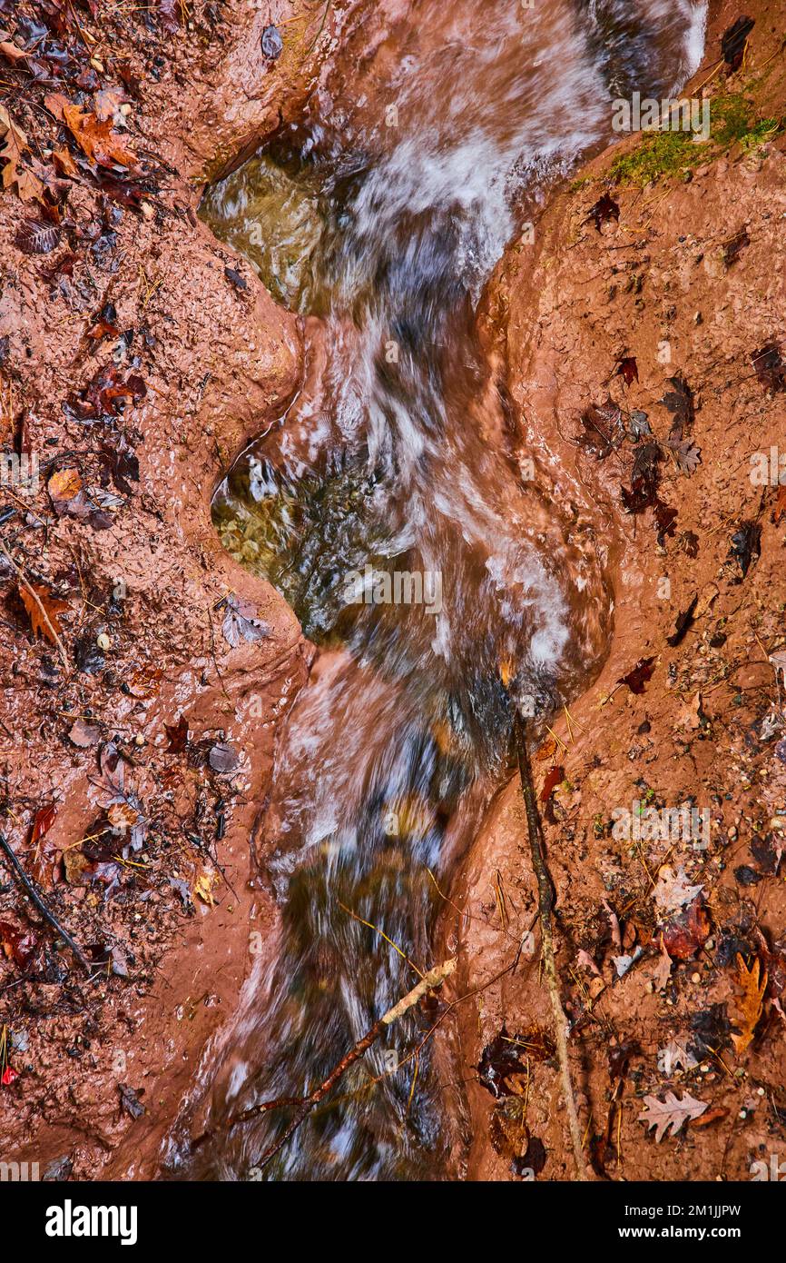 Wood carving hare hi-res stock photography and images - Alamy