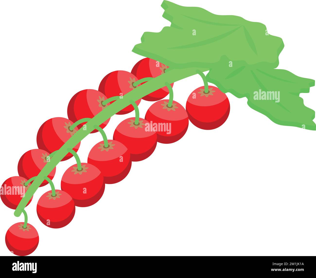 Australian wild berry Stock Vector Images - Alamy