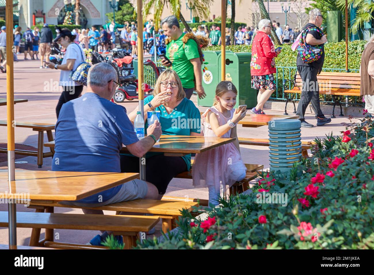 Dec 11, 2022. Orlando, FL, USA. Disney's Hollywood Studios walk in ...
