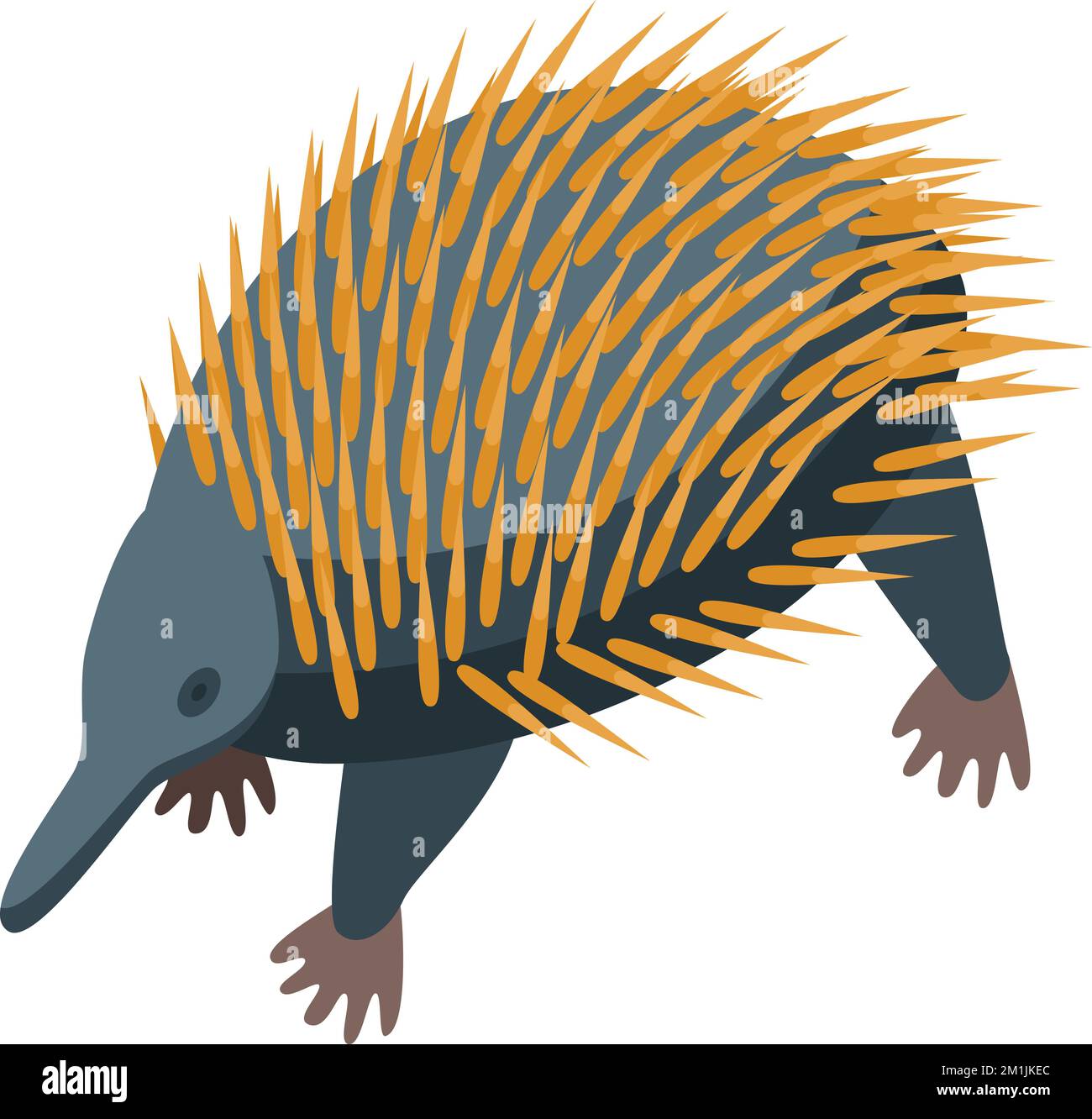 Echidna animal icon isometric vector. Cute nature. Zoo funny Stock ...