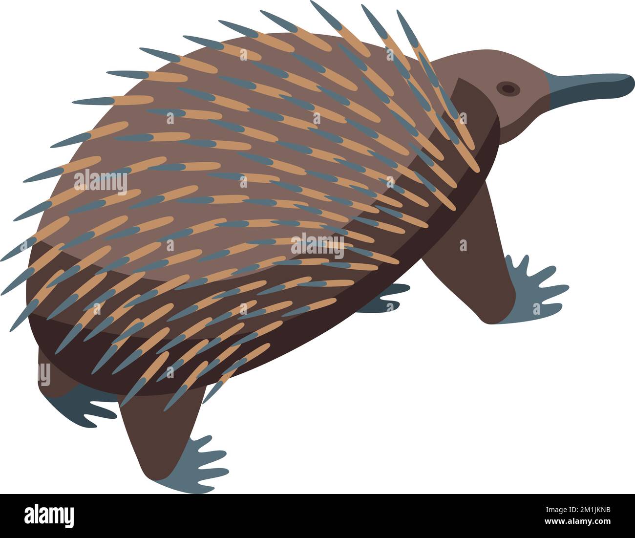 Cute echidna icon isometric vector. Animal nature. Australia animal ...