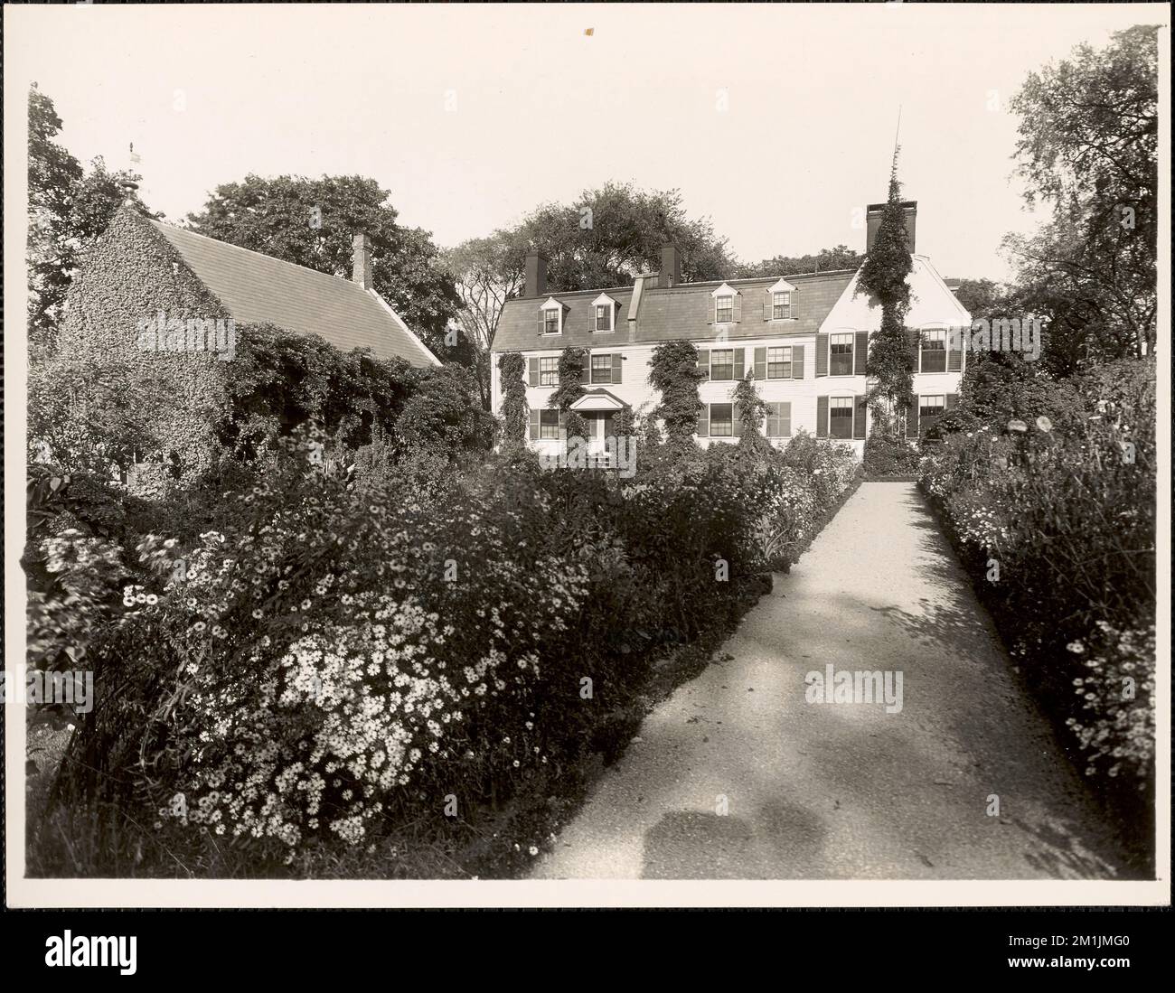 Adams Mansion, Quincy, Mass. , Mansions, Historic buildings, Shrubs ...