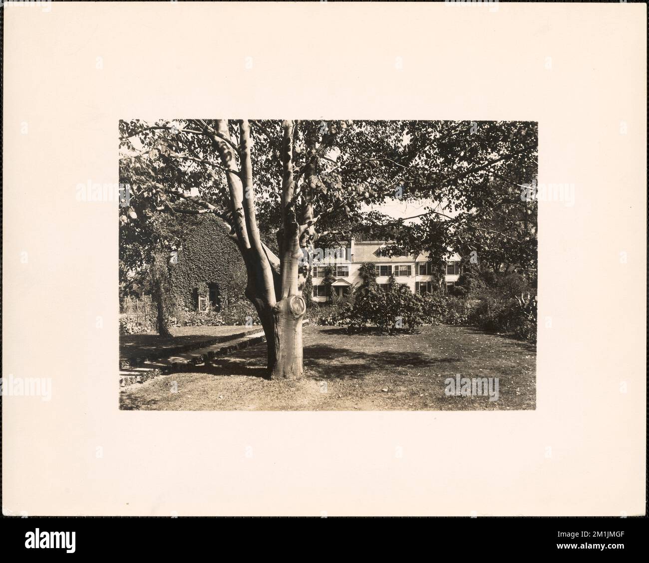 Adams Mansion, Quincy, Mass. , Mansions, Historic buildings, Trees ...