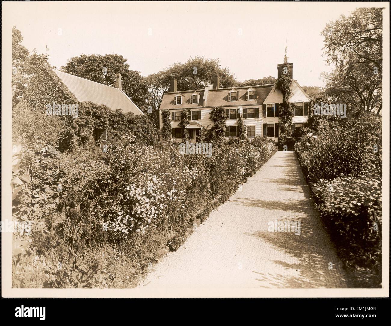 Adams Mansion, Quincy, Mass. , Mansions, Historic buildings, Shrubs ...