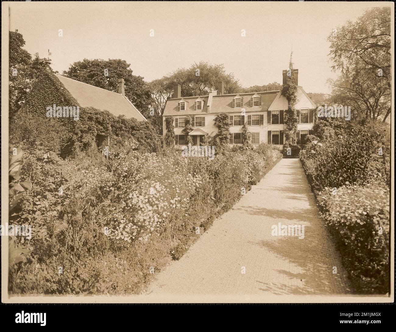Adams Mansion, Quincy, Mass. , Mansions, Historic buildings, Shrubs ...